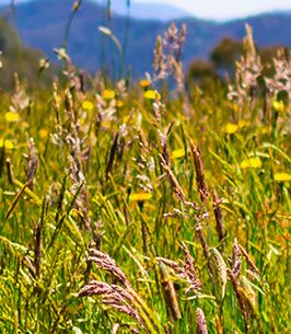 John Rhodes - RegionalObituaries.com | RegionalObituaries.com