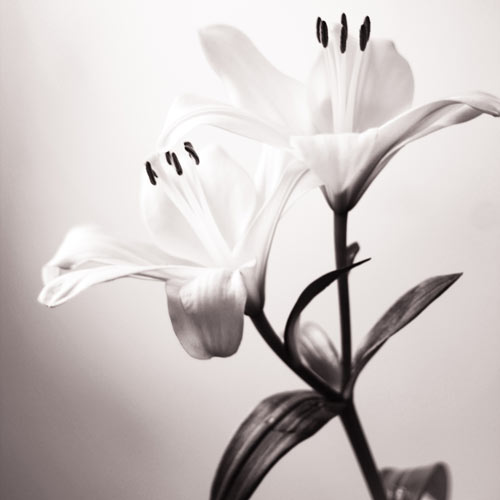 Marie Boyd Goad - RegionalObituaries.com | RegionalObituaries.com