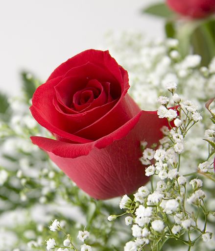 Cressie Edwards Flippen - RegionalObituaries.com | RegionalObituaries.com