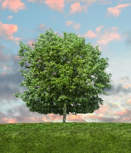 Joseph "Joe" T. Tolbert - RegionalObituaries.com | RegionalObituaries.com